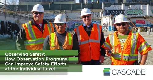 Observing Safety: How Observation Programs Can Improve Safety Efforts ...