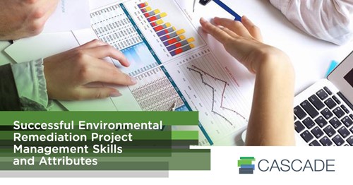 Successful Environmental Remediation Project Management Skills and ...