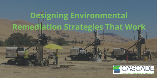 Designing Environmental Remediation Strategies That Work